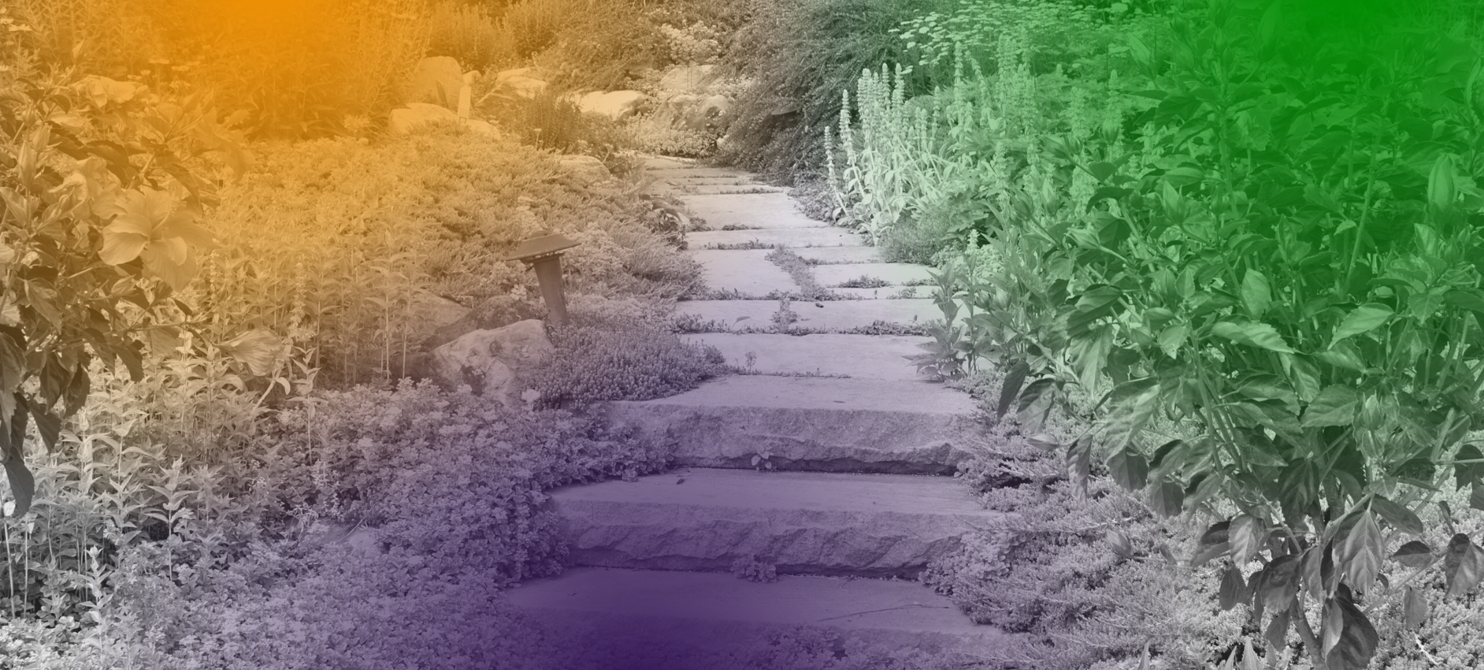 Find Fencing Companies in Acocks Green, West Midlands - TopTradespeople